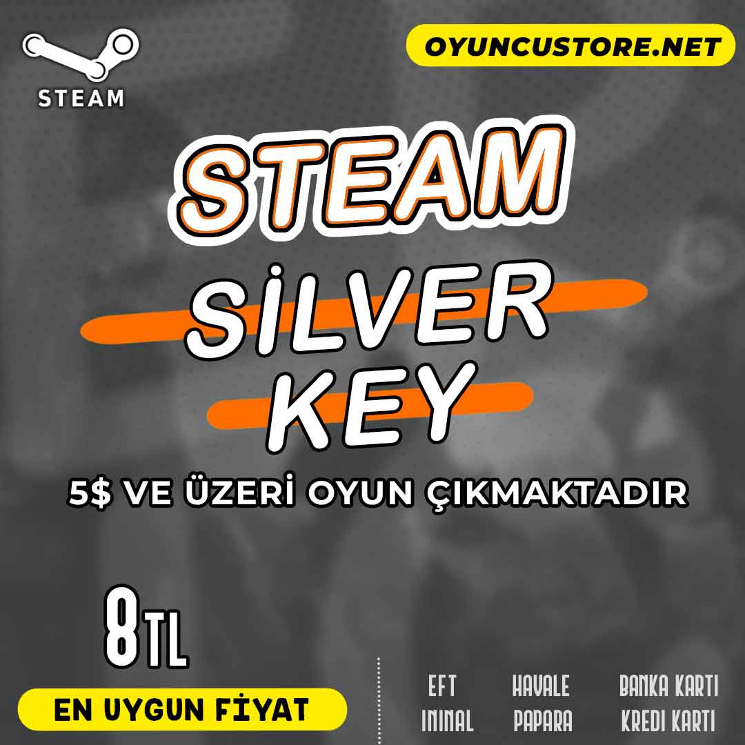 Silver Key | Oyuncustore - Ucuz Oyun Adresi